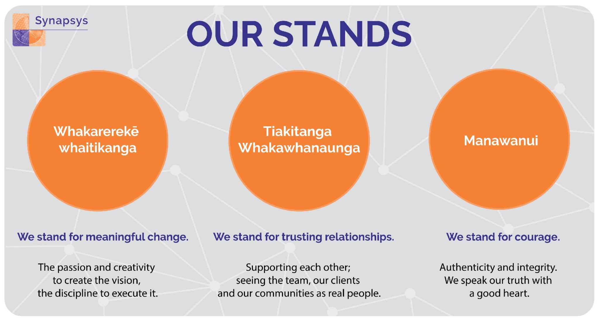 What are our Stands? - Synapsys