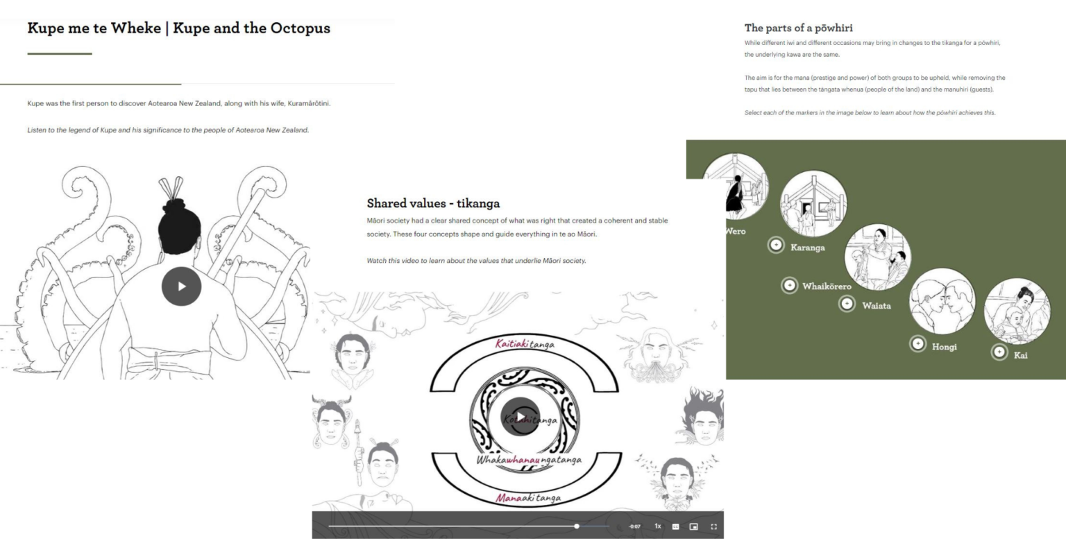 Silver Fern Farms - A Māori-led approach to building cultural capability - Synapsys